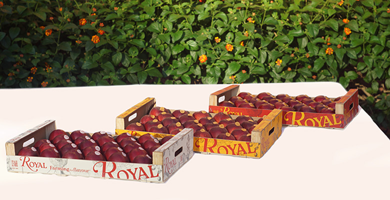 Nectarinas y melocotones, los primeros de la temporada - Retail Actual