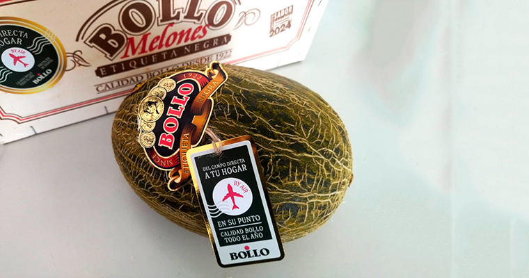 ¿Conoces qué es el Melón Bollo Bodega por avión? - Retail Actual