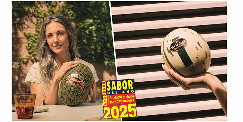 Los melones Bollo, Sabor del Año 2025 - Retail Actual