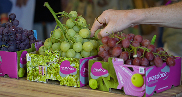 Uvasdoce acude a Fruit Attraction en plena campaña de uva - Retail Actual
