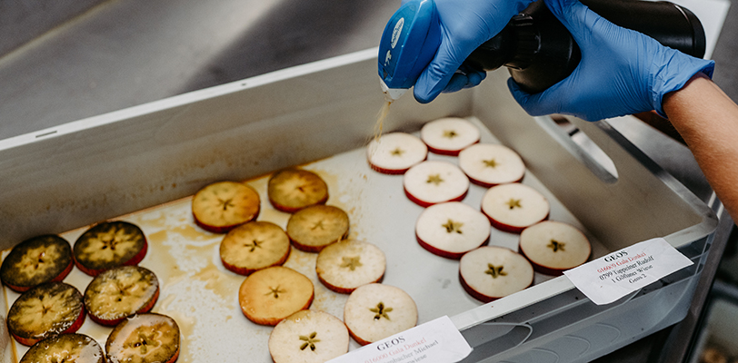 VIP Val Venosta apuesta por el uso de la Inteligencia Artificial ...