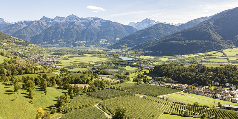 Las manzanas de VIP Val Venosta, alineadas con la lucha contra el ...